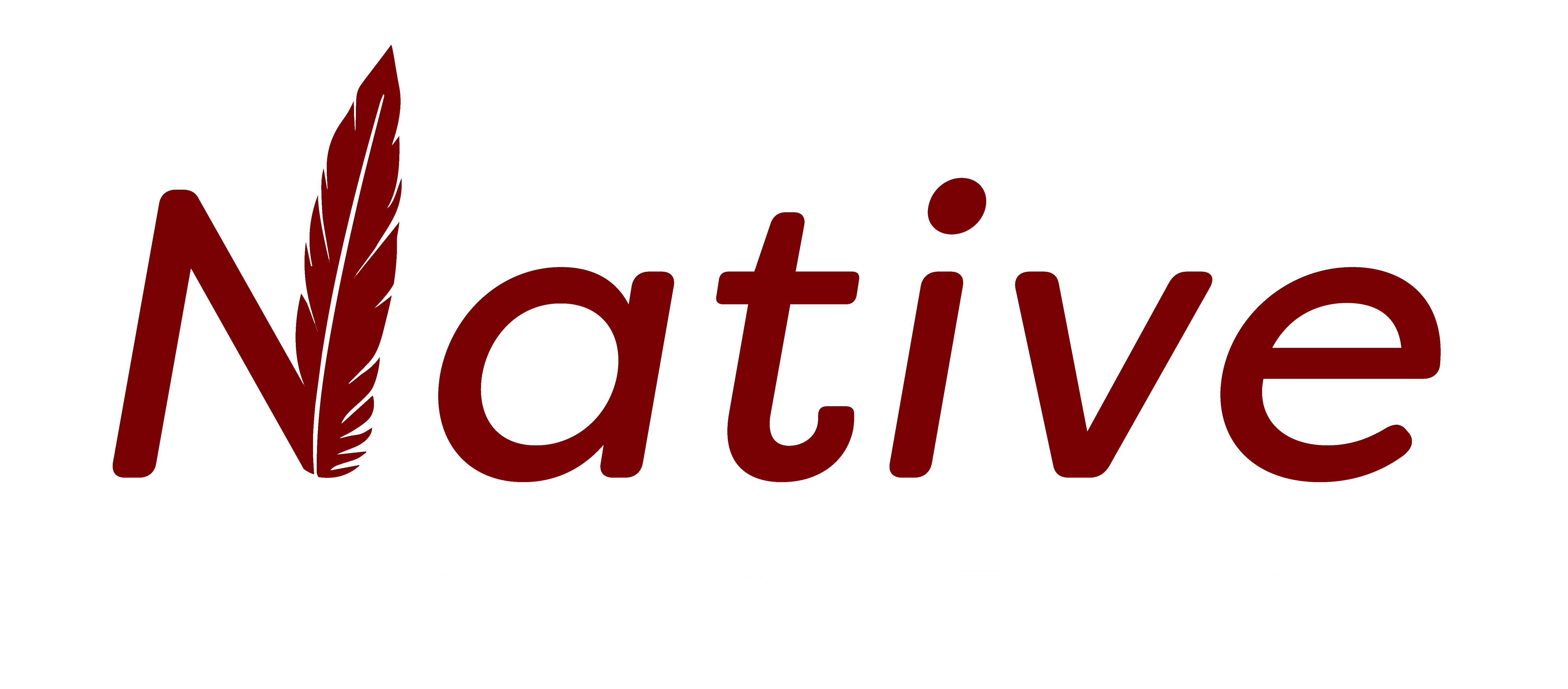 Native Tech Solutions